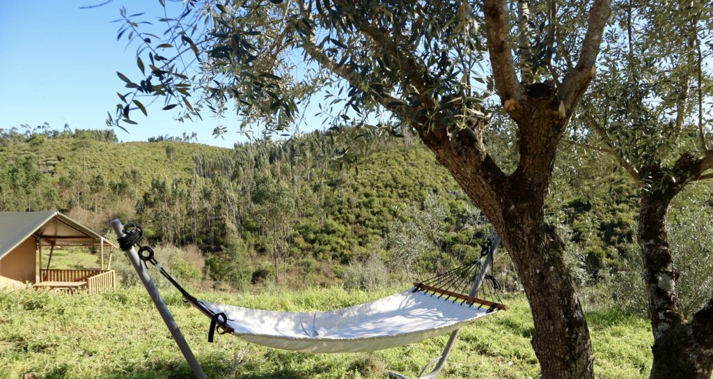 Oliveira – B&B Quinta Vida Verde