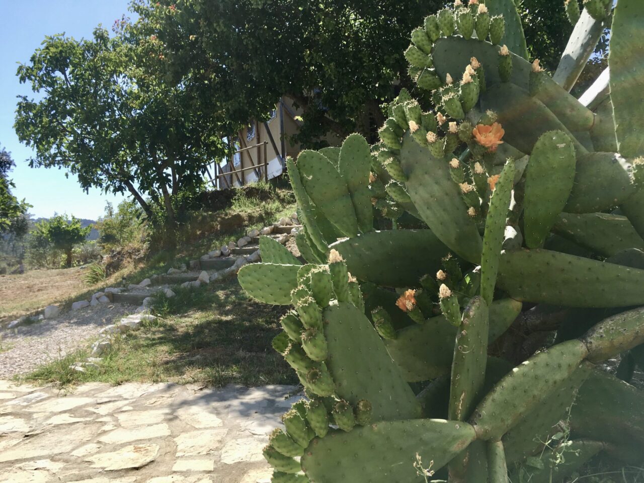 Macieira – B&B Quinta Vida Verde