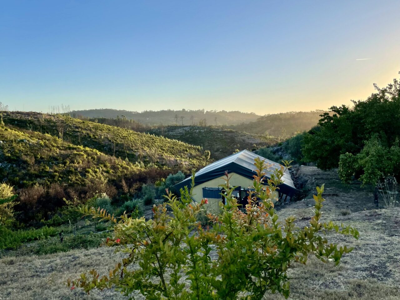 Oliveira – B&B Quinta Vida Verde